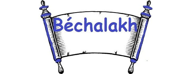 Paracha de la semaine BECHALA’H Les prodiges de l’Eternel | Alliance le ...