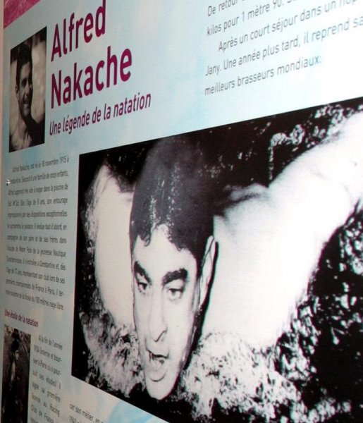 Exposition : Alfred Nakache, Le nageur D’Auschwitz | Alliance le ...